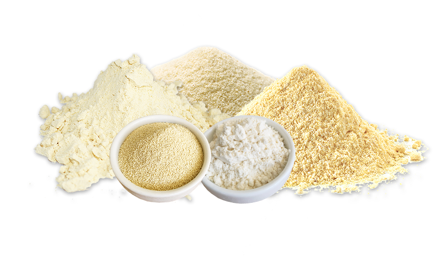 Innosense: a new name for Limagrain Ingredients’ functional flours