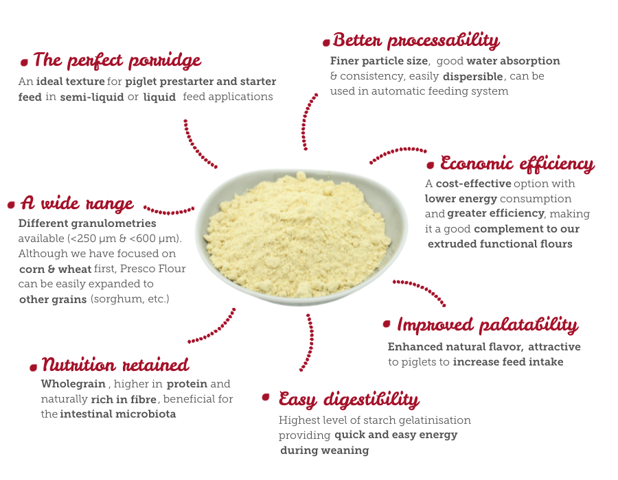 Presco Flour: Boosting piglet nutrition for a healthier start
